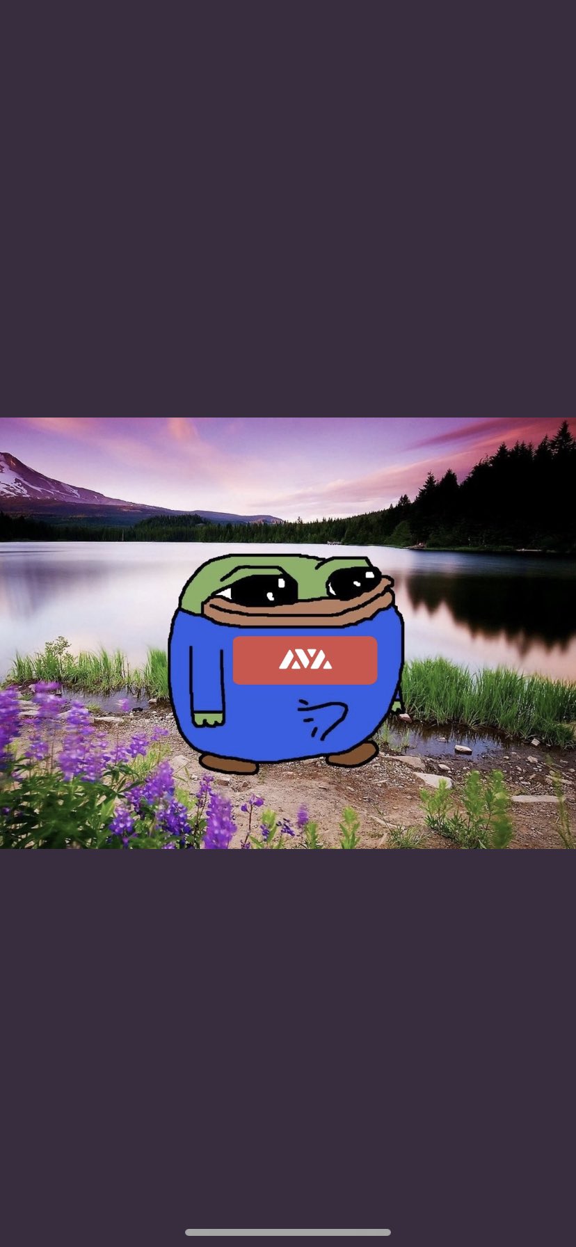 FrogNation Memes | (3,3) calculator